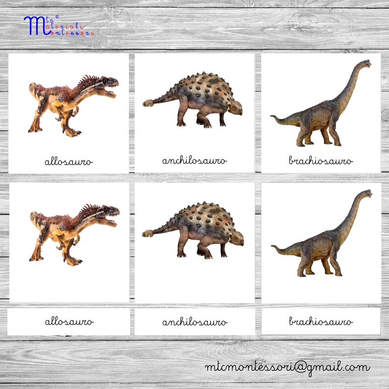 Printable PDF Three-part Nomenclature "dinosaurs" - Etsy