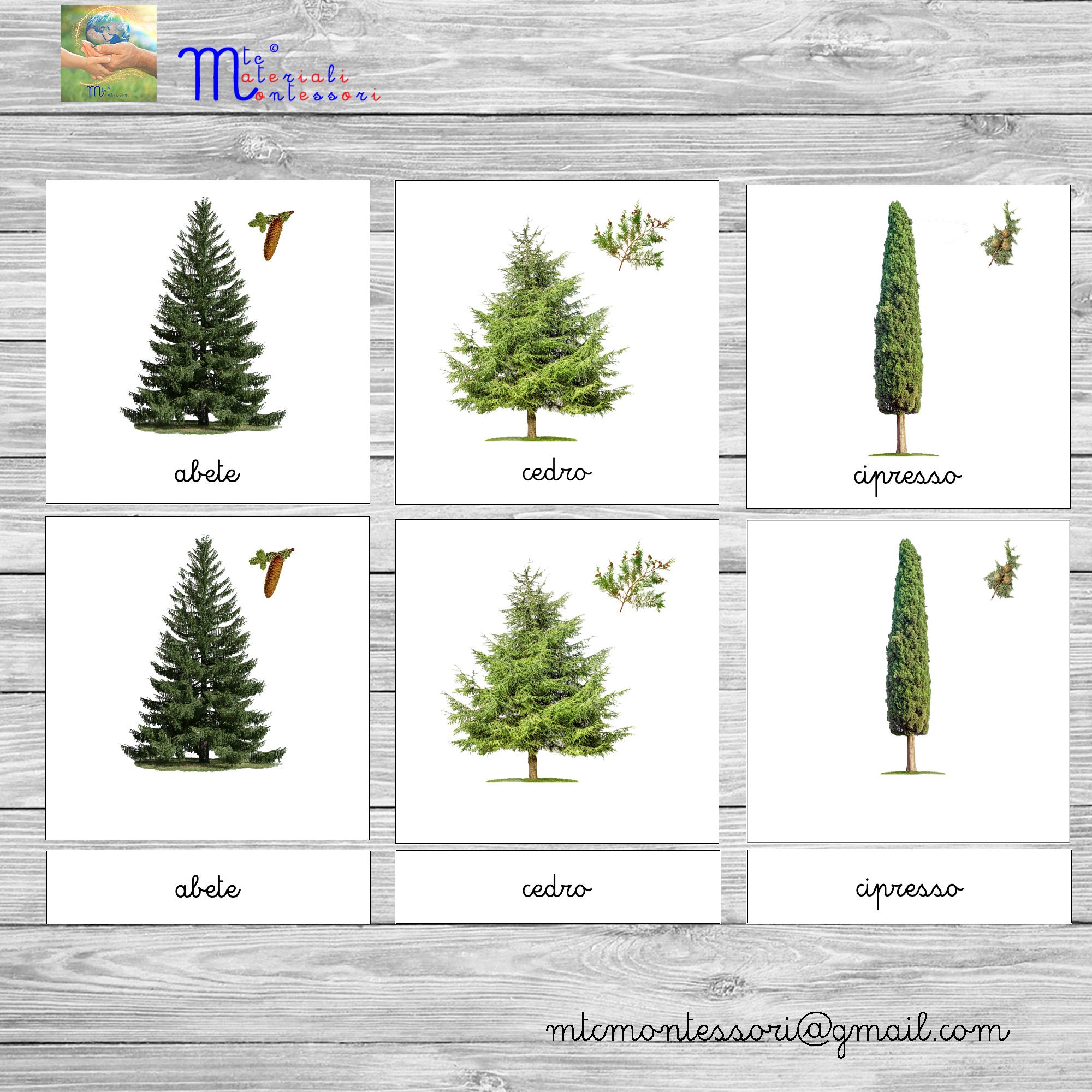 Printable PDF Montessori Nomenclatures evergreen Trees deciduous Trees ...