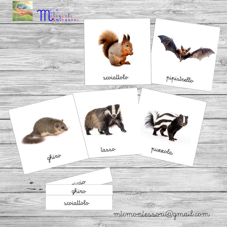 Printable PDF Montessori Nomenclature "animals That Hibernate" - Etsy