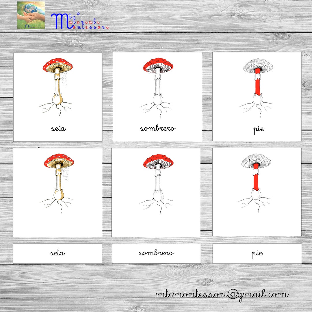 Printable PDF Montessori Nomenclatures SPANISH VERSION partes De La ...
