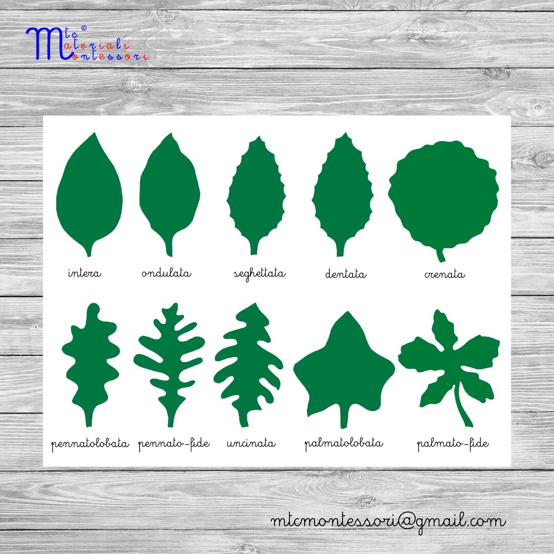 Printable PDF "leaves According to the Margin" A3 Format - Etsy Canada