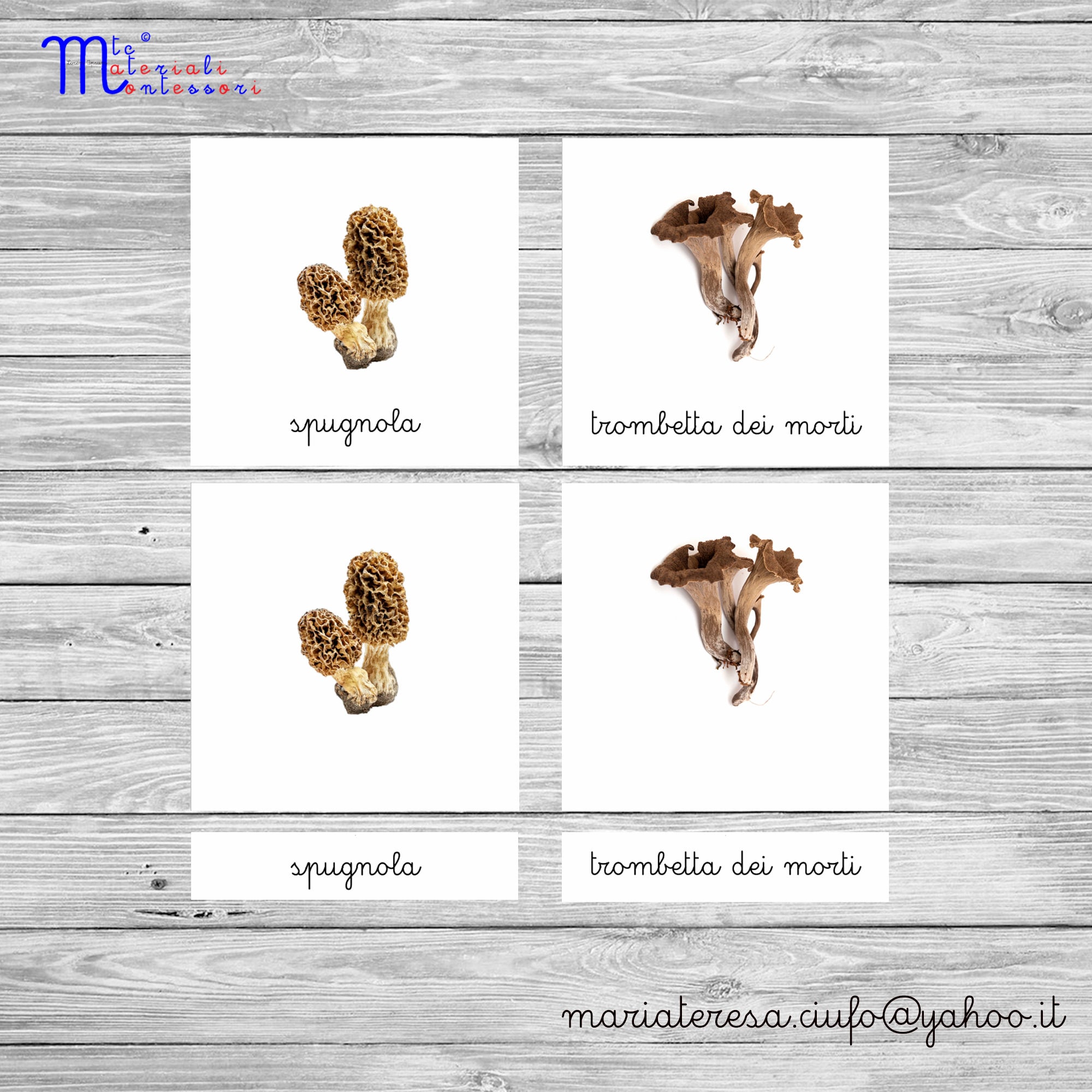 Printable PDF Montessori Nomenclature "edible Mushrooms" - Etsy