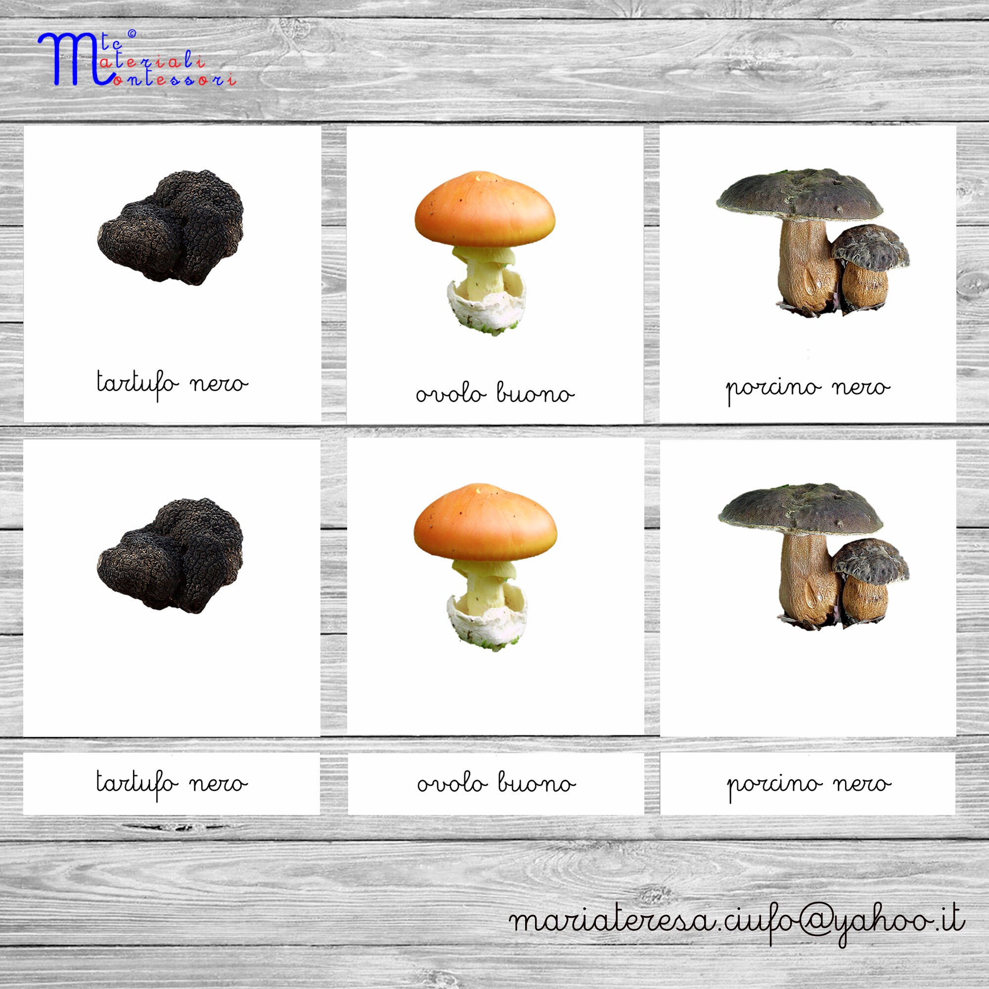 Printable PDF Montessori Nomenclature "edible Mushrooms" - Etsy
