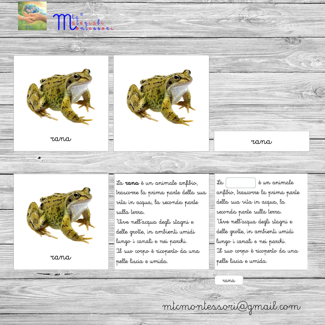 Nomenclaturas Montessori para primaria (PDF imprimible) “La rana y sus ...