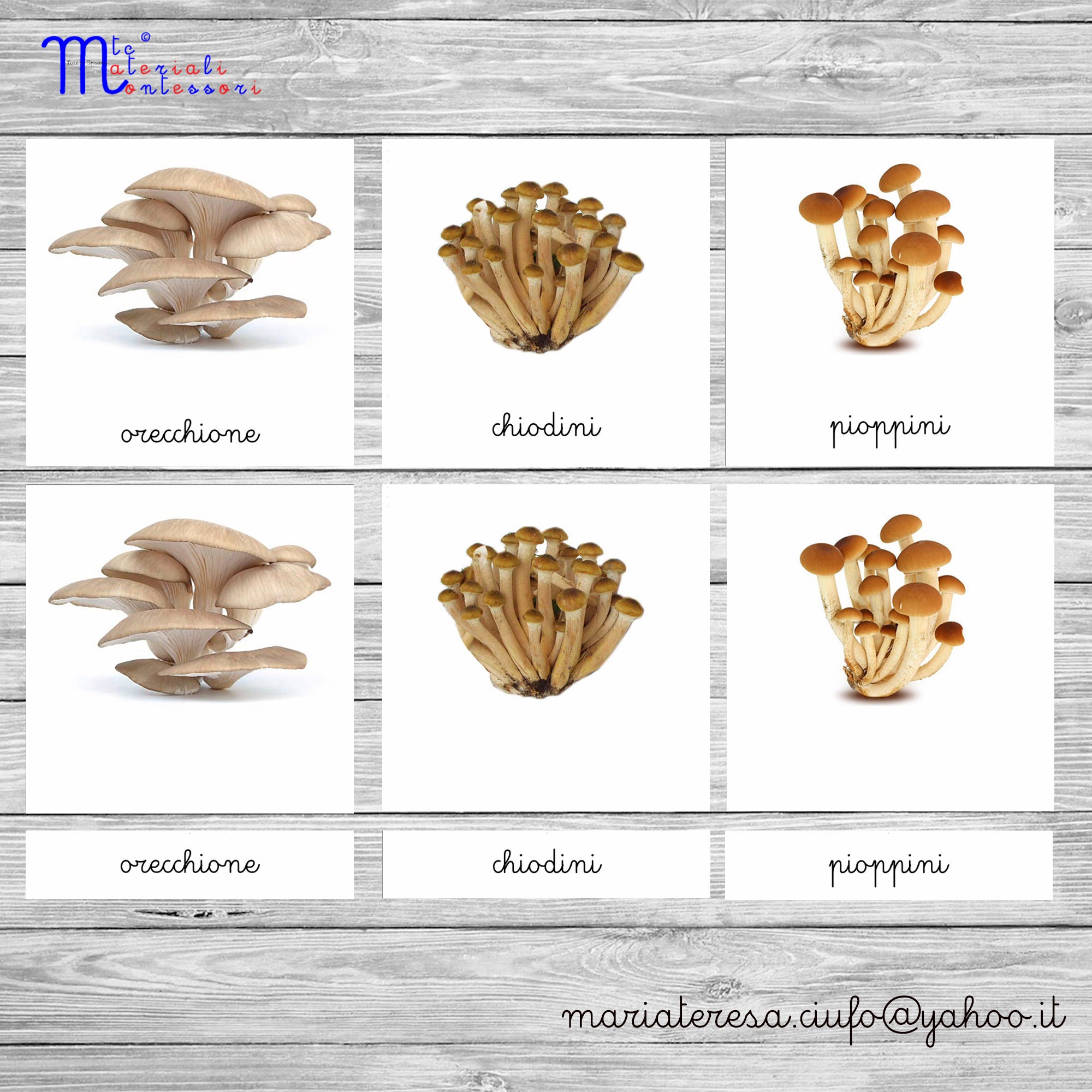 Printable PDF Montessori Nomenclature "edible Mushrooms" - Etsy