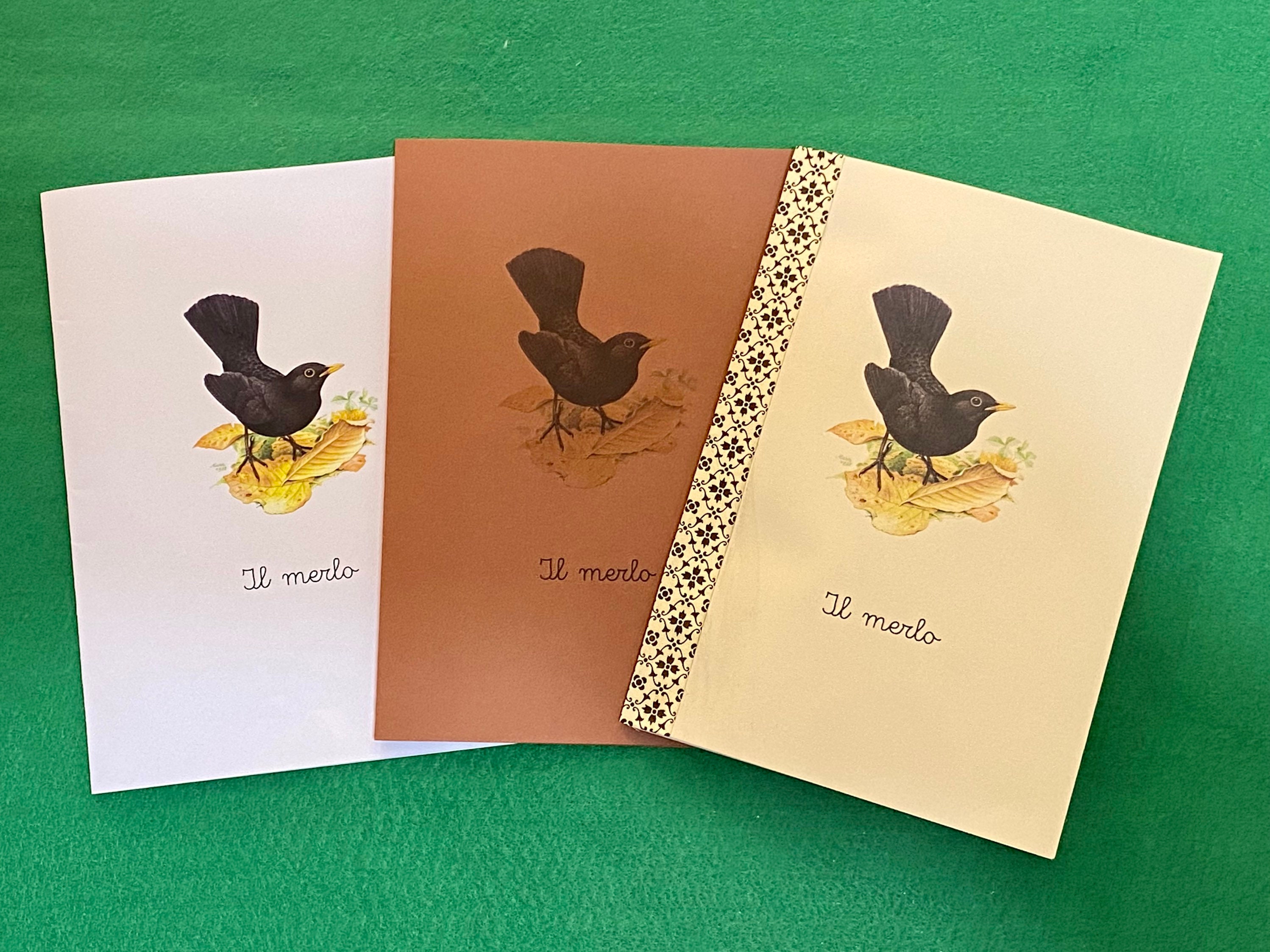Nomenclatura el mirlo y sus partes folleto El mirlo - Etsy México