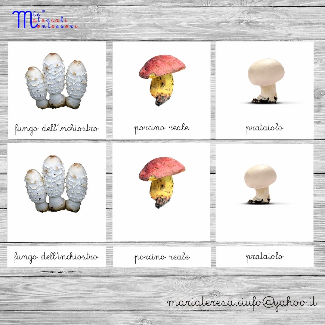 Printable PDF Montessori Nomenclature "edible Mushrooms" - Etsy