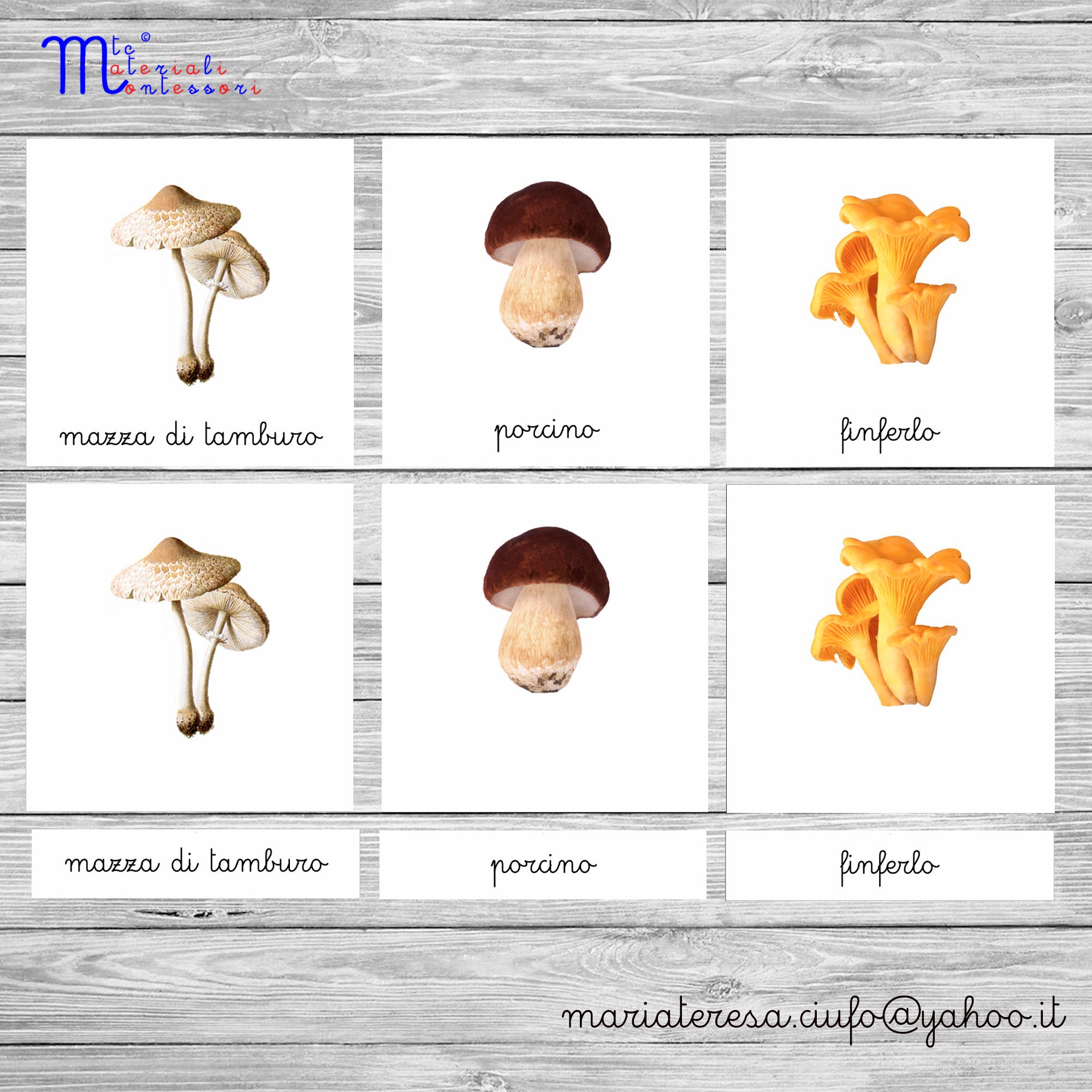 Printable PDF Montessori Nomenclature "edible Mushrooms" - Etsy