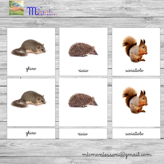 Animaux En Hibernation Imprimables Les Animaux En Francais | TPT