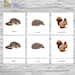 Printable PDF Montessori Nomenclature "animals That Hibernate" - Etsy
