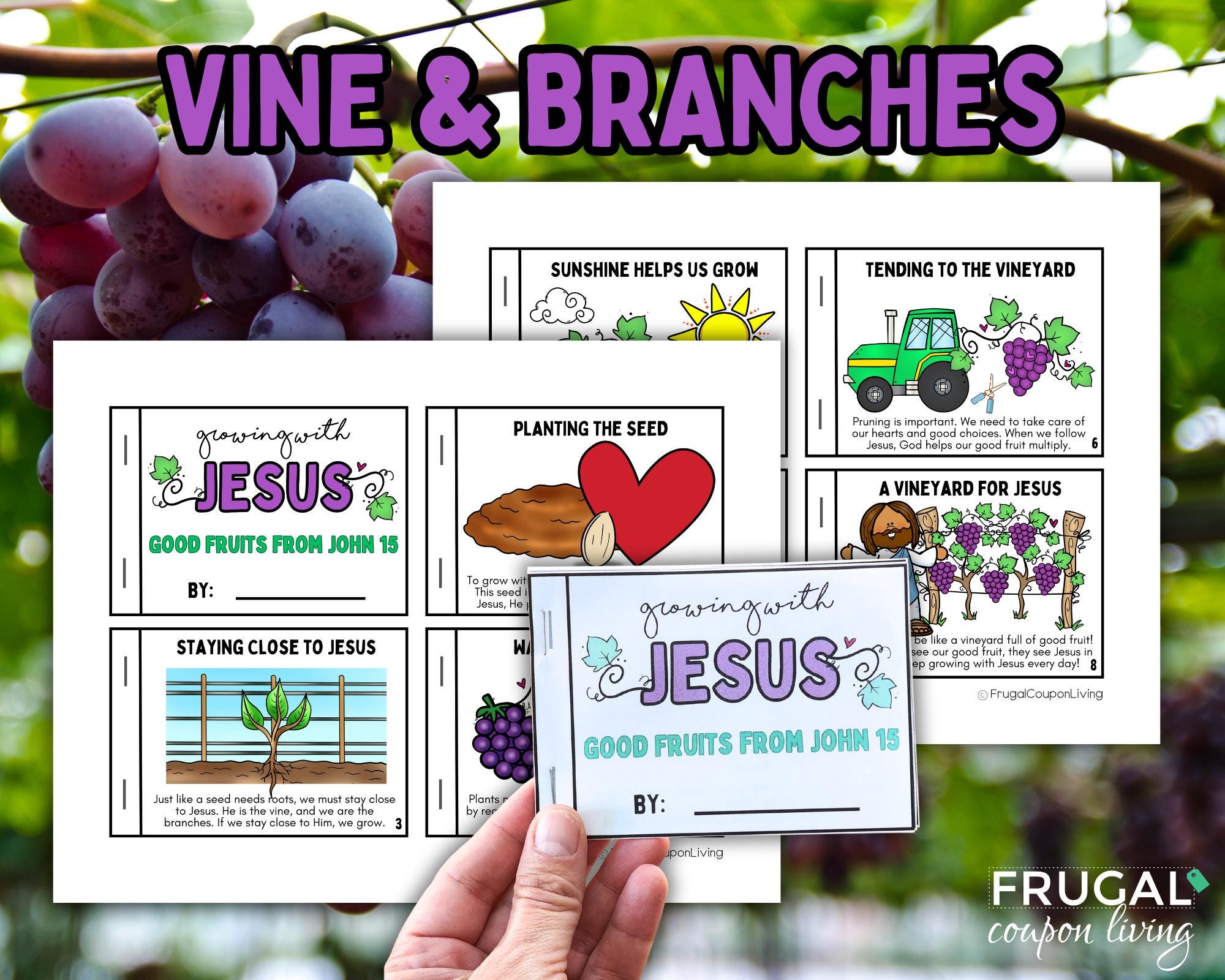 Vine & Branches Crafts for Kids, Grape Set the True Vine + Fruits of ...