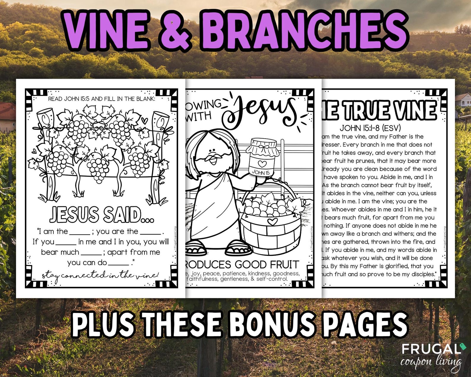 Vine & Branches Crafts for Kids, Grape Set the True Vine + Fruits of ...