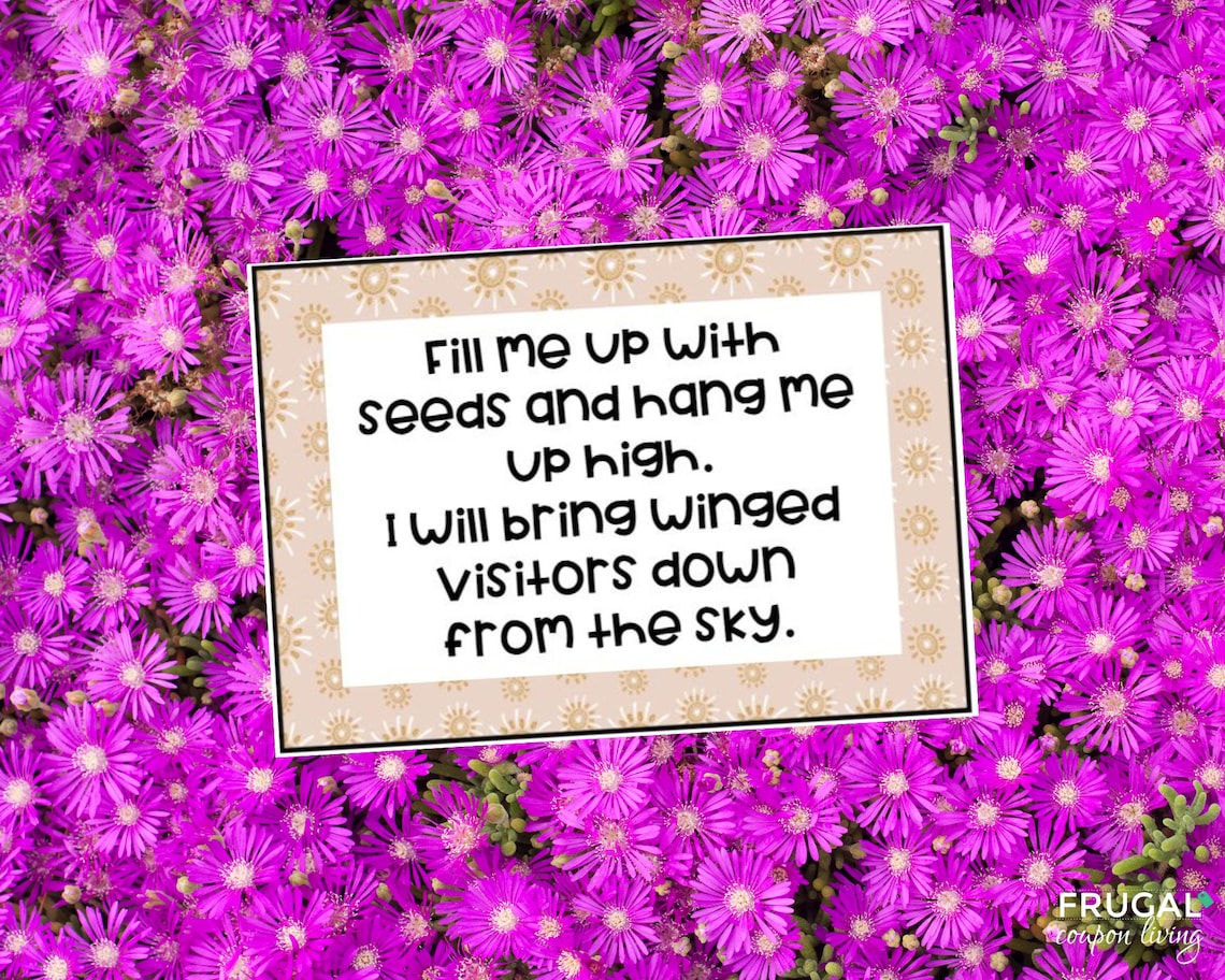 20 Outdoor Scavenger Hunt Riddles for Kids PDF Nature - Etsy