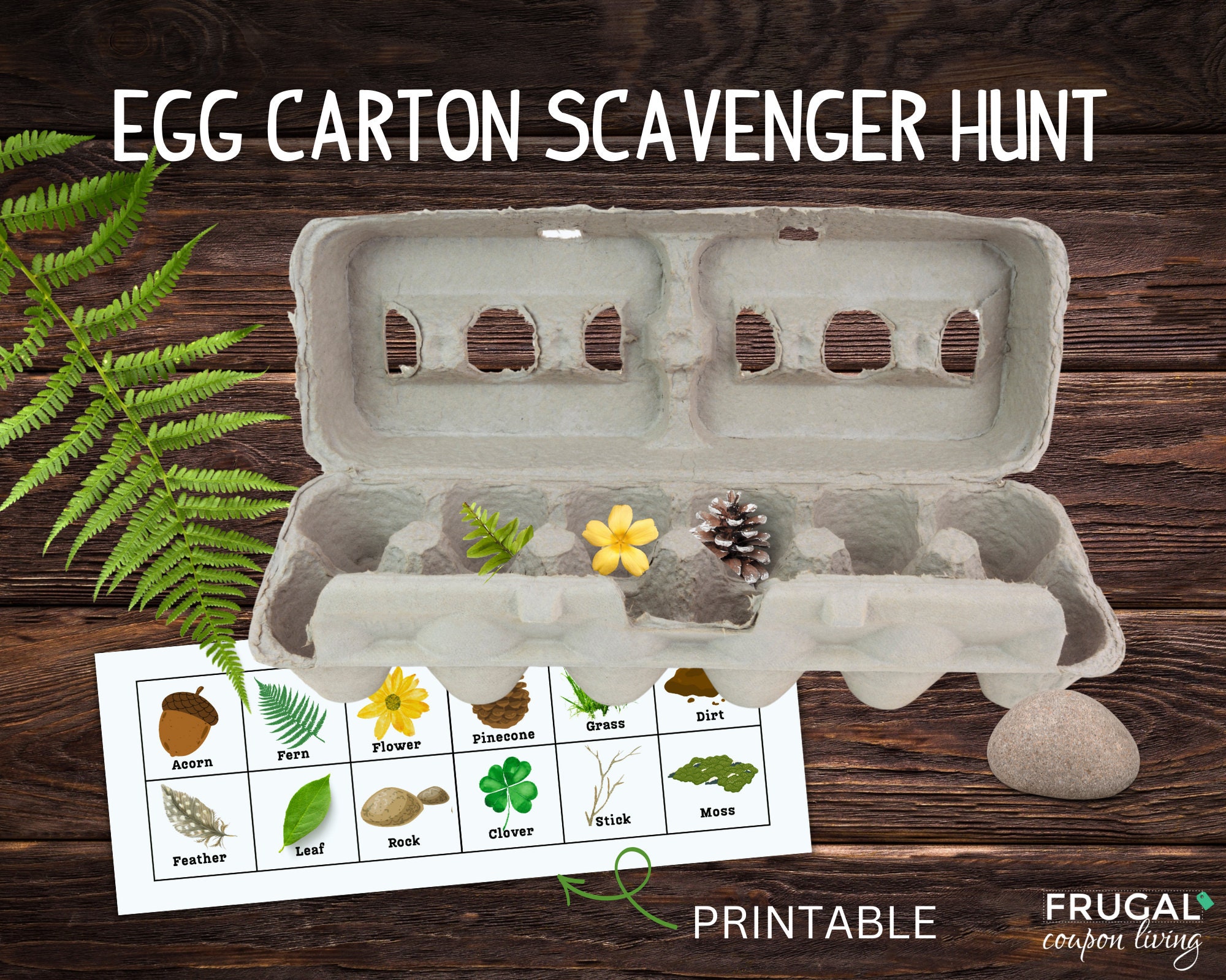 Egg Carton Nature Scavenger Hunt at Harrison Dunckley blog