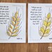 Ruth Pasta Art, Old Testament Ruth Craft for Kids, Book of Ruth ...