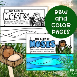 Birth of Moses Craft for Kids | Exodus 2 Bible Lesson | Nile, Pharaoh ...