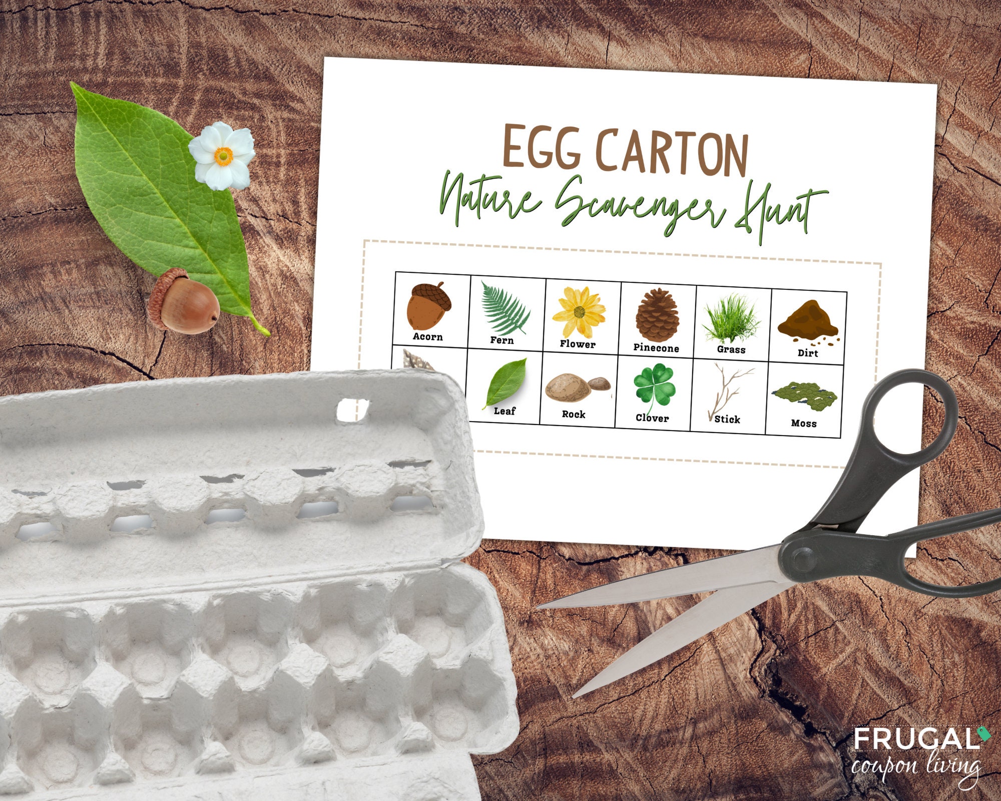 Egg Carton Scavenger Hunt Printable Printable Nature - Etsy