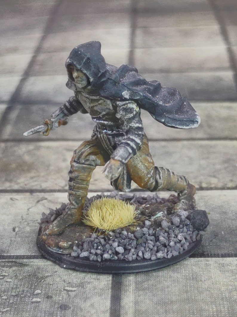 Hand Painted Rogue Thief Bandit Ranger Adventurer Fantasy Tabletop ...