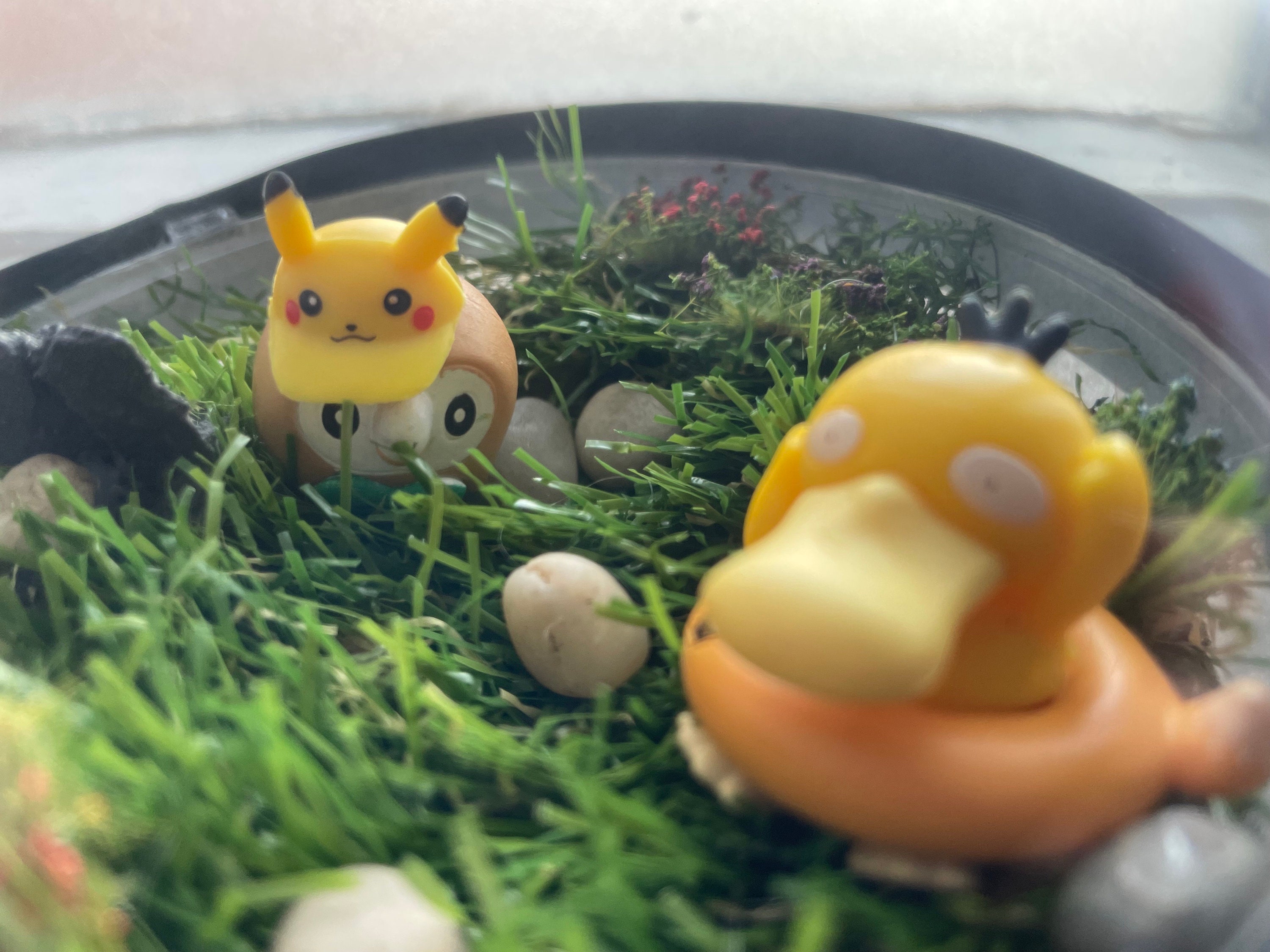 Pokémon Rowlett / Pikachu & Psyduck PONCHO 3D Acrylic Display - Etsy
