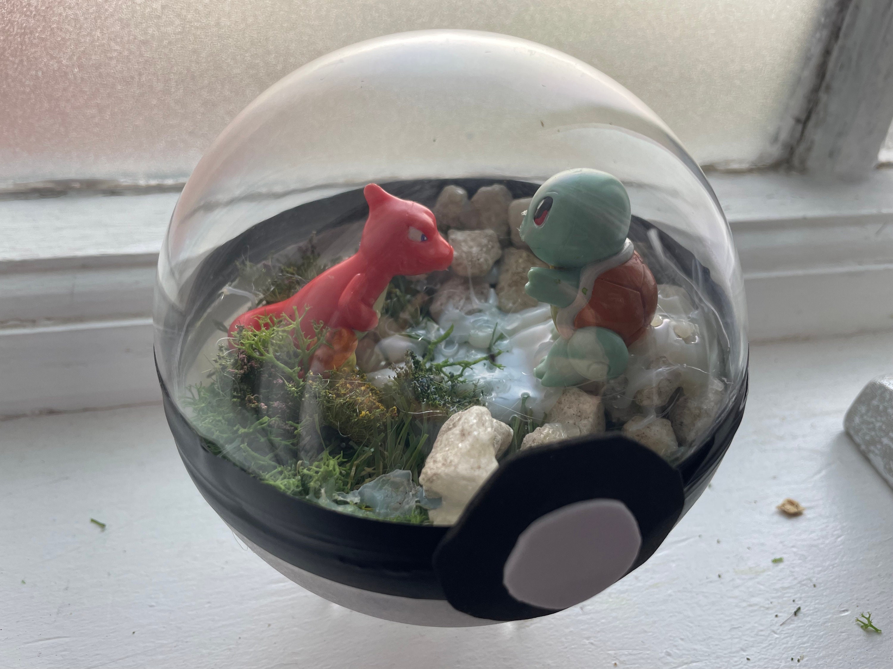 Pokémon Charmeleon & Squirtle 3D Acrylic Display Cube Pokeball - Etsy ...