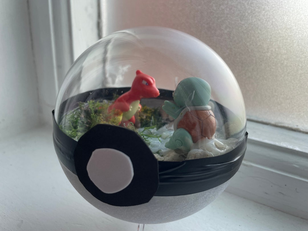 Pokémon Charmeleon & Squirtle 3D Acrylic Display Cube Pokeball - Etsy