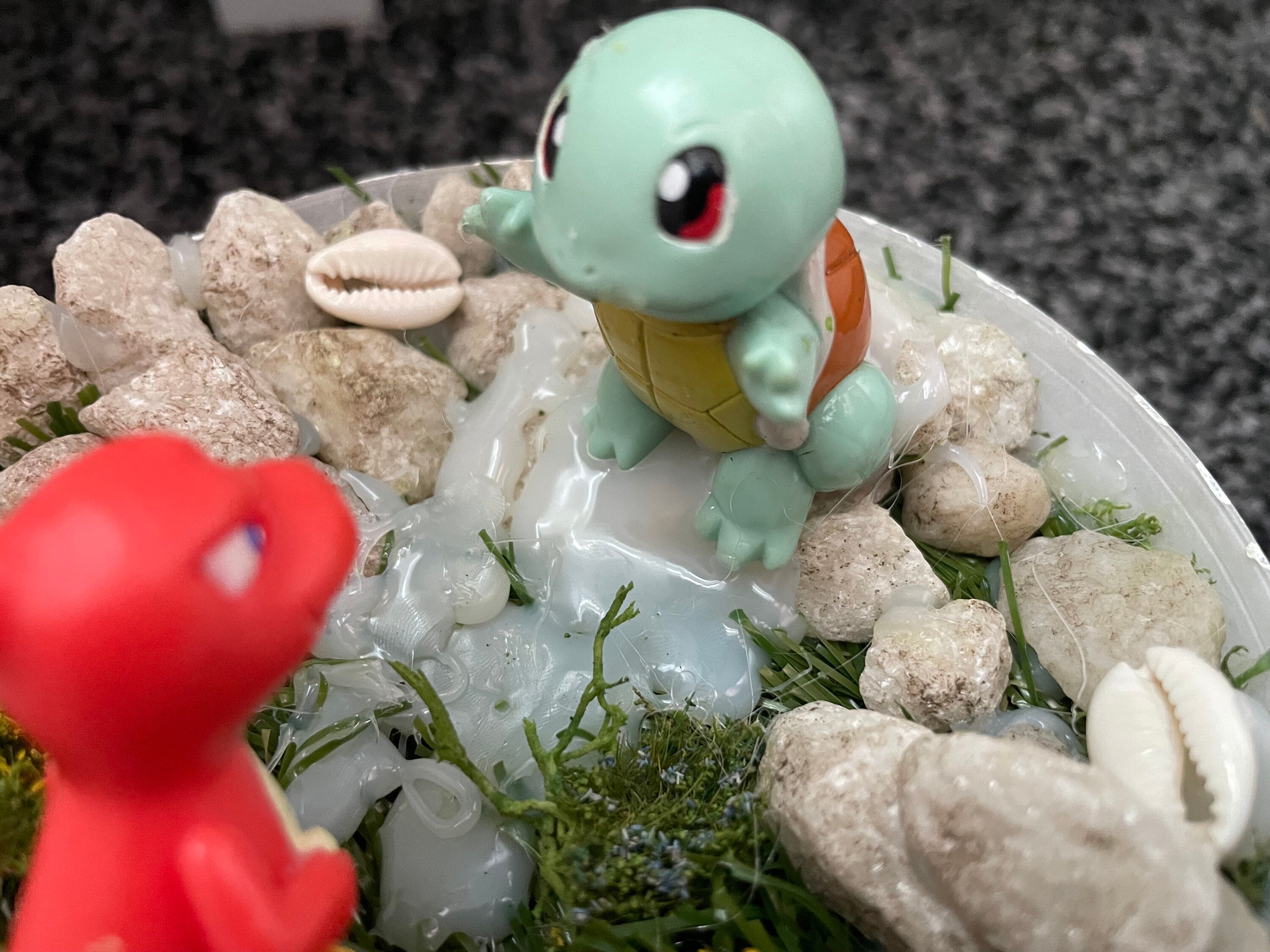 Pokémon Charmeleon & Squirtle 3D Acrylic Display Cube Pokeball - Etsy