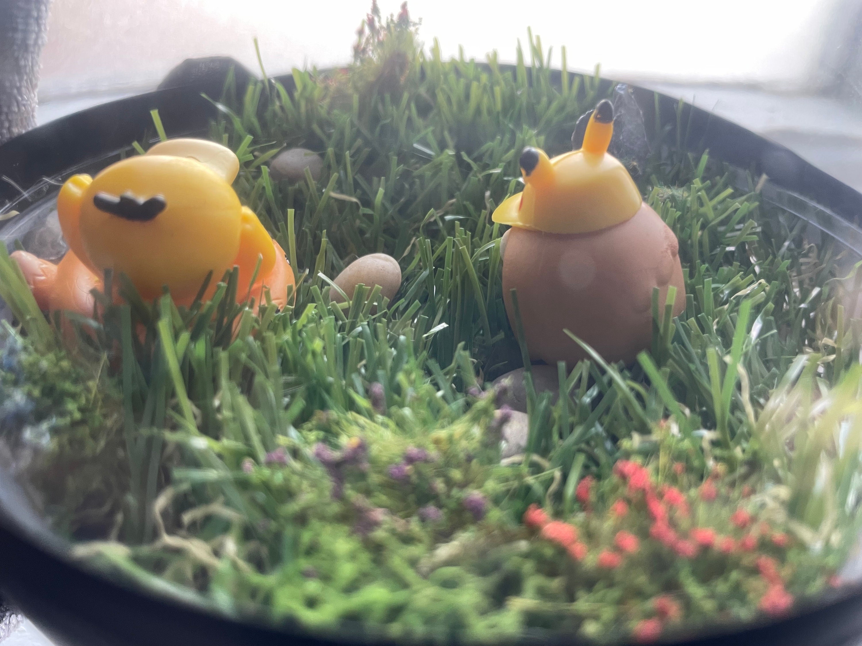 Pokémon Rowlett / Pikachu & Psyduck PONCHO 3D Acrylic Display - Etsy