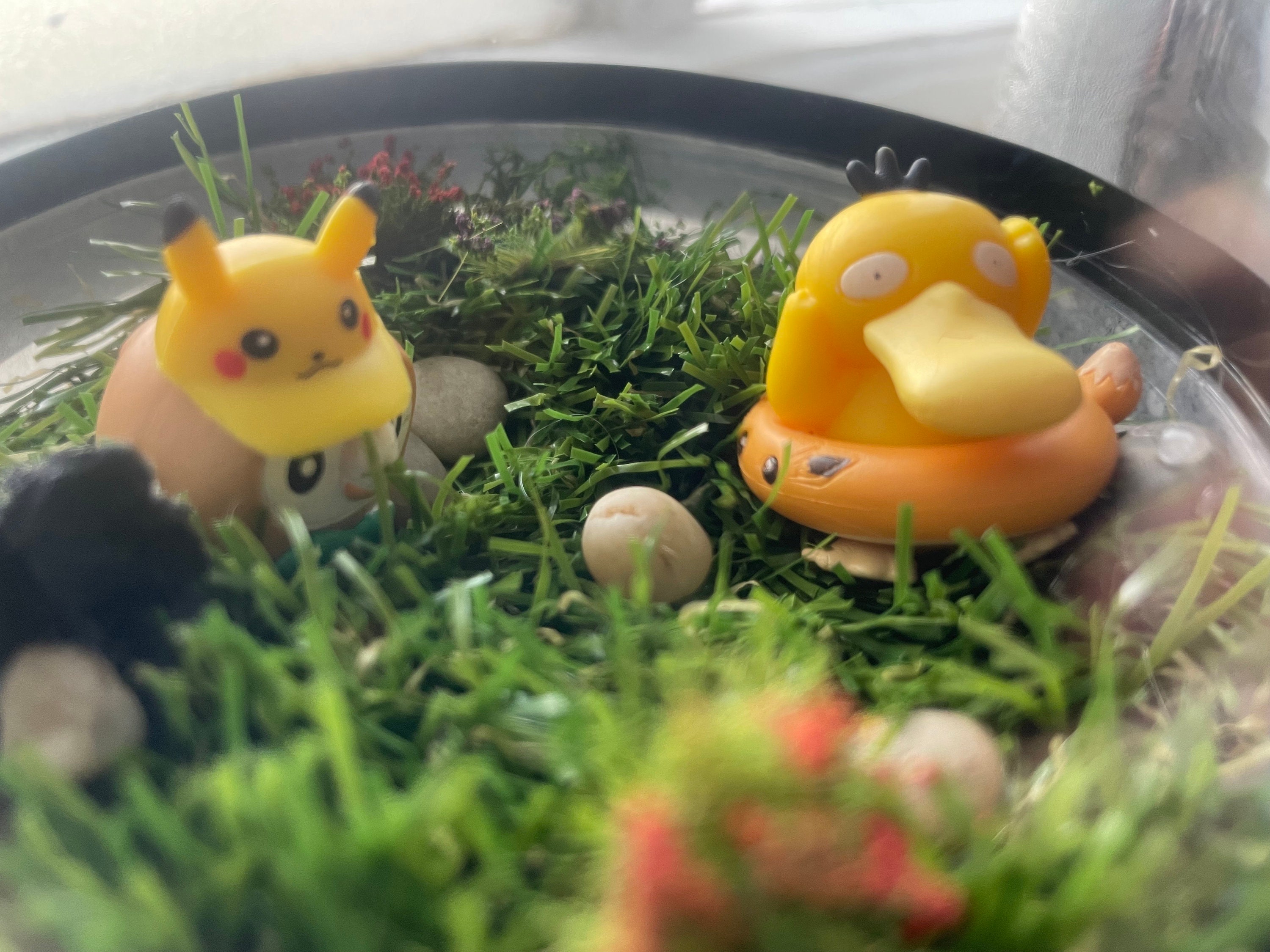Pokémon Rowlett / Pikachu & Psyduck PONCHO 3D Acrylic Display - Etsy