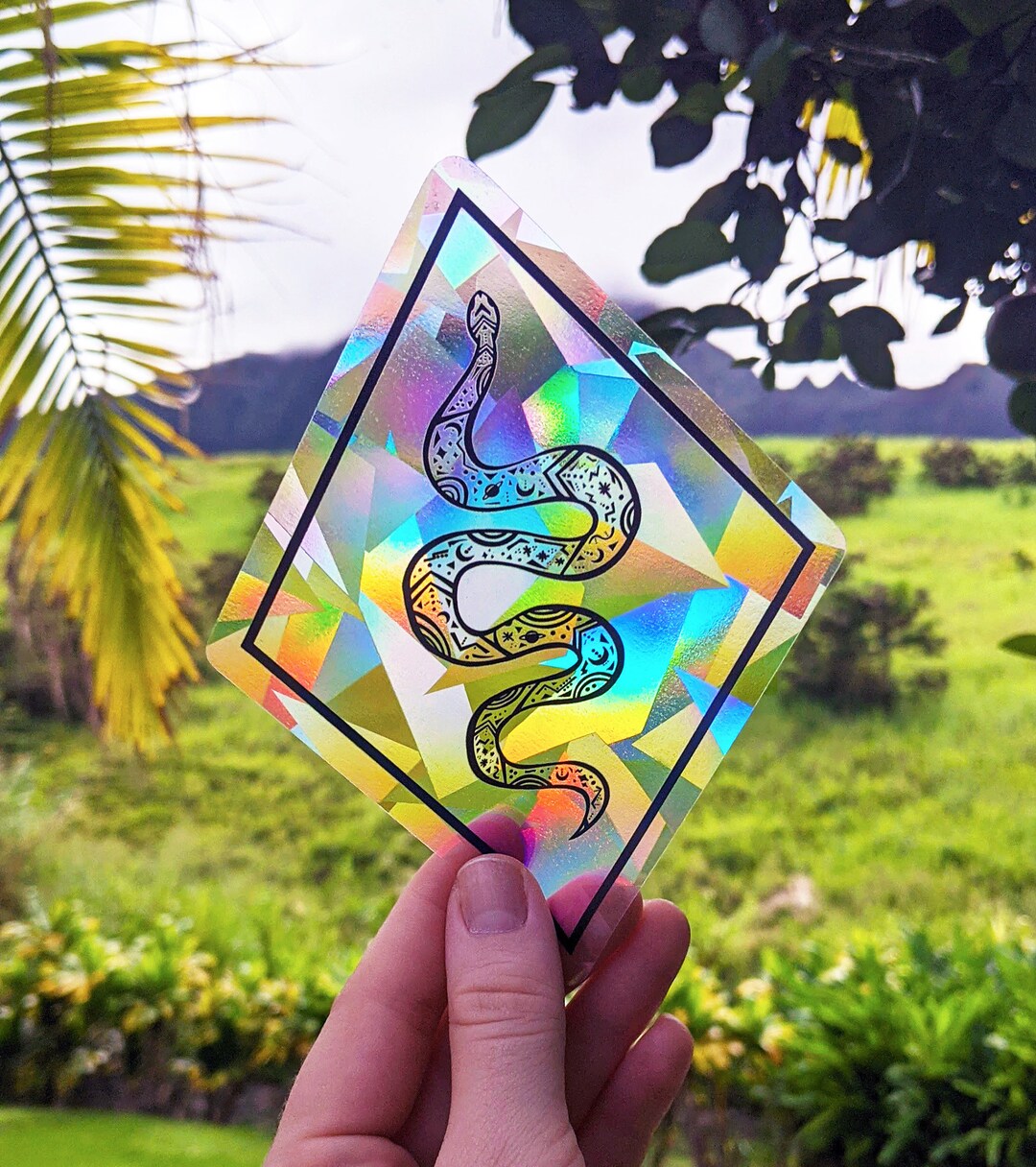 Celestial Snake Suncatcher Sticker: Rainbow Prismatic Window Decal - Etsy