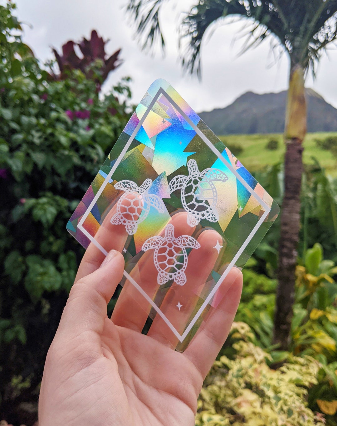 Celestial Turtles Suncatcher Sticker: Rainbow Window Decal - Etsy