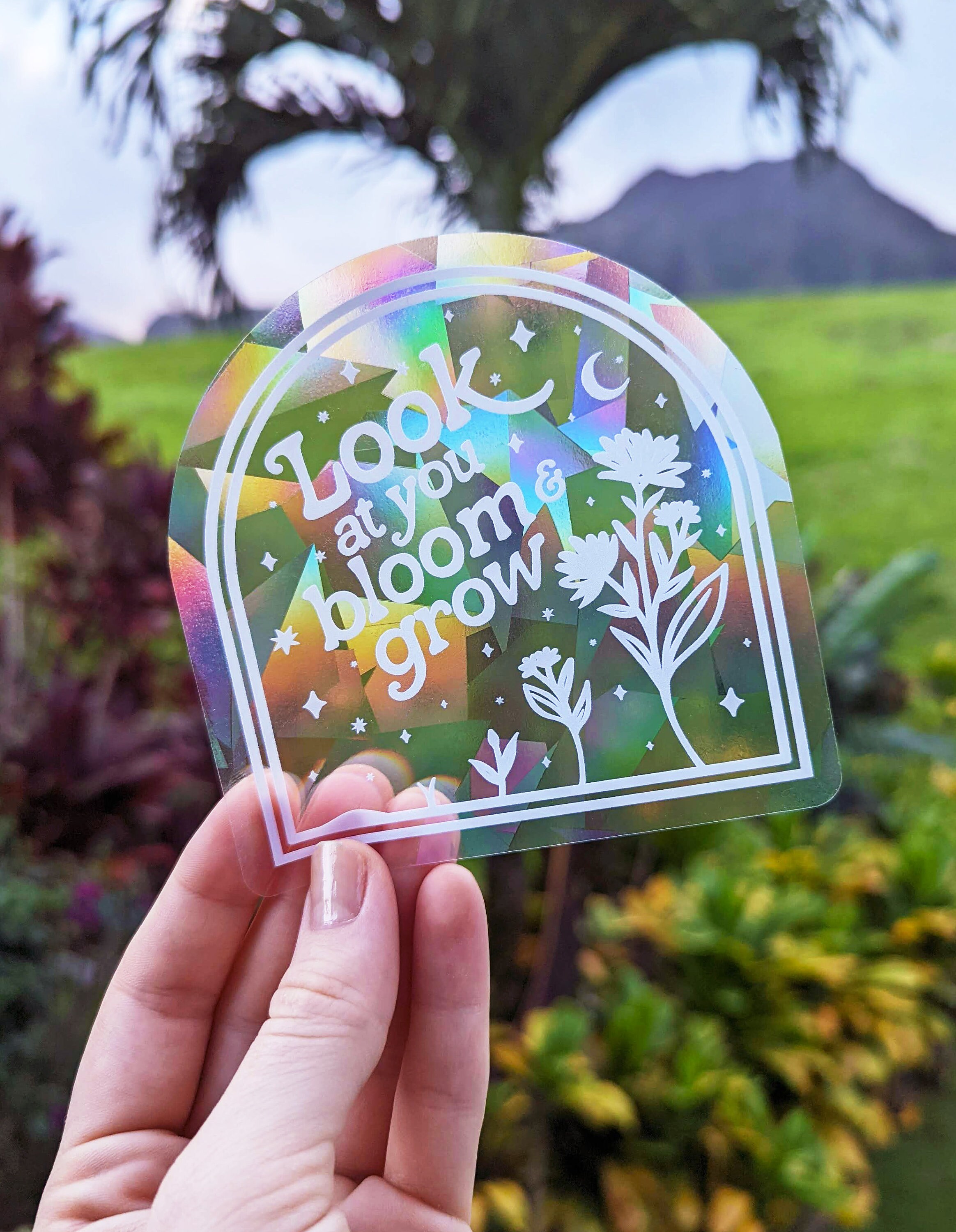 Glass Art Art & Collectibles Suncatchers Keep Growing Rainbow ...