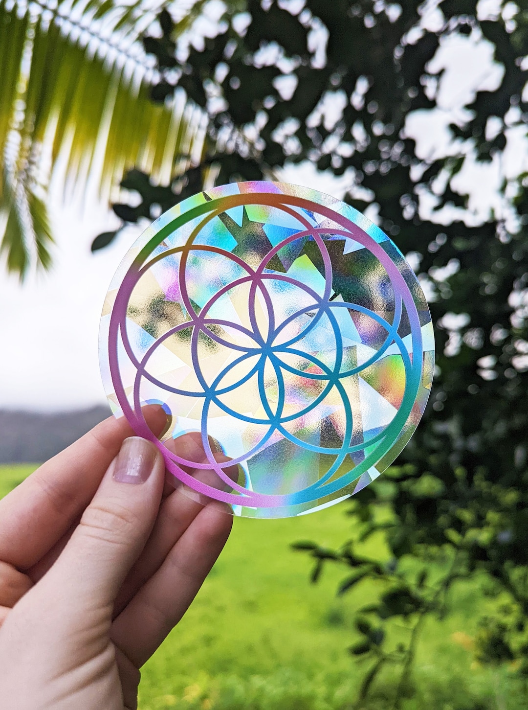 NEW Sacred Geometry Gifts, Rainbow Seed of Life Suncatcher Sticker ...