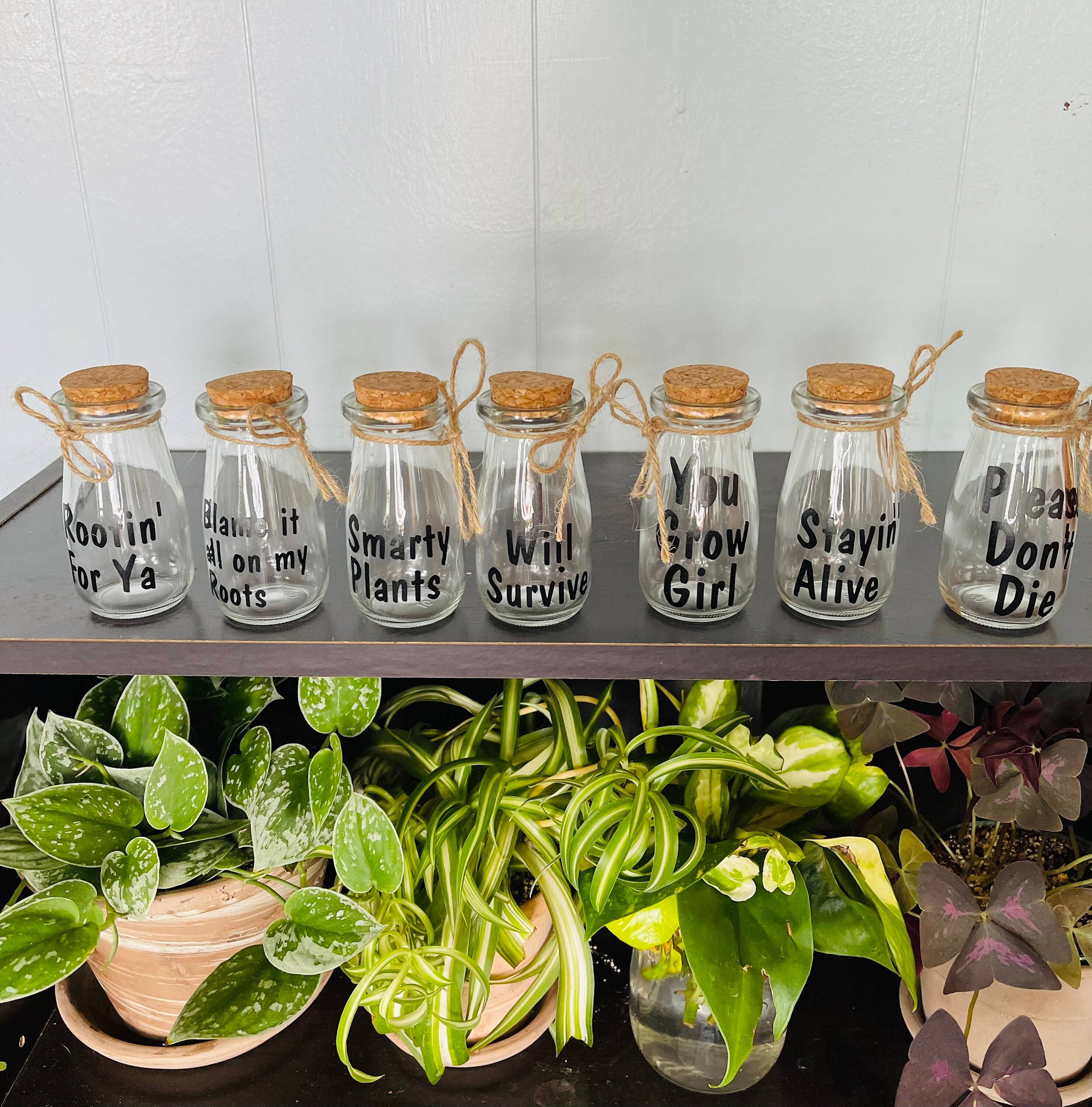 Plant Pun Propagation Jars - Etsy