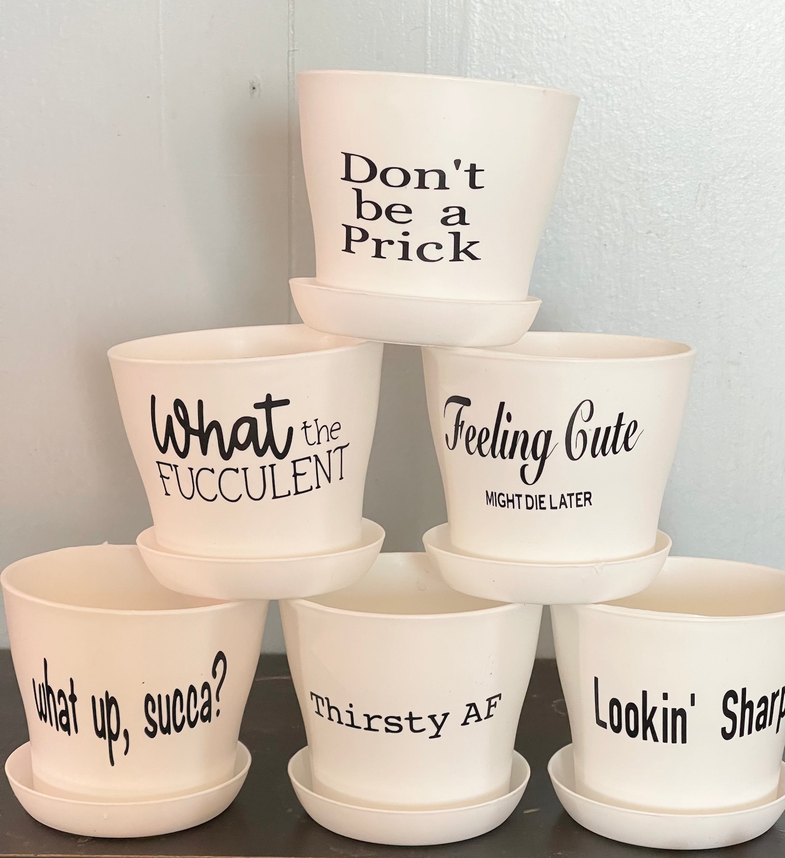 4 Inch Funny Plant Pots With Drainage and Saucer - Etsy