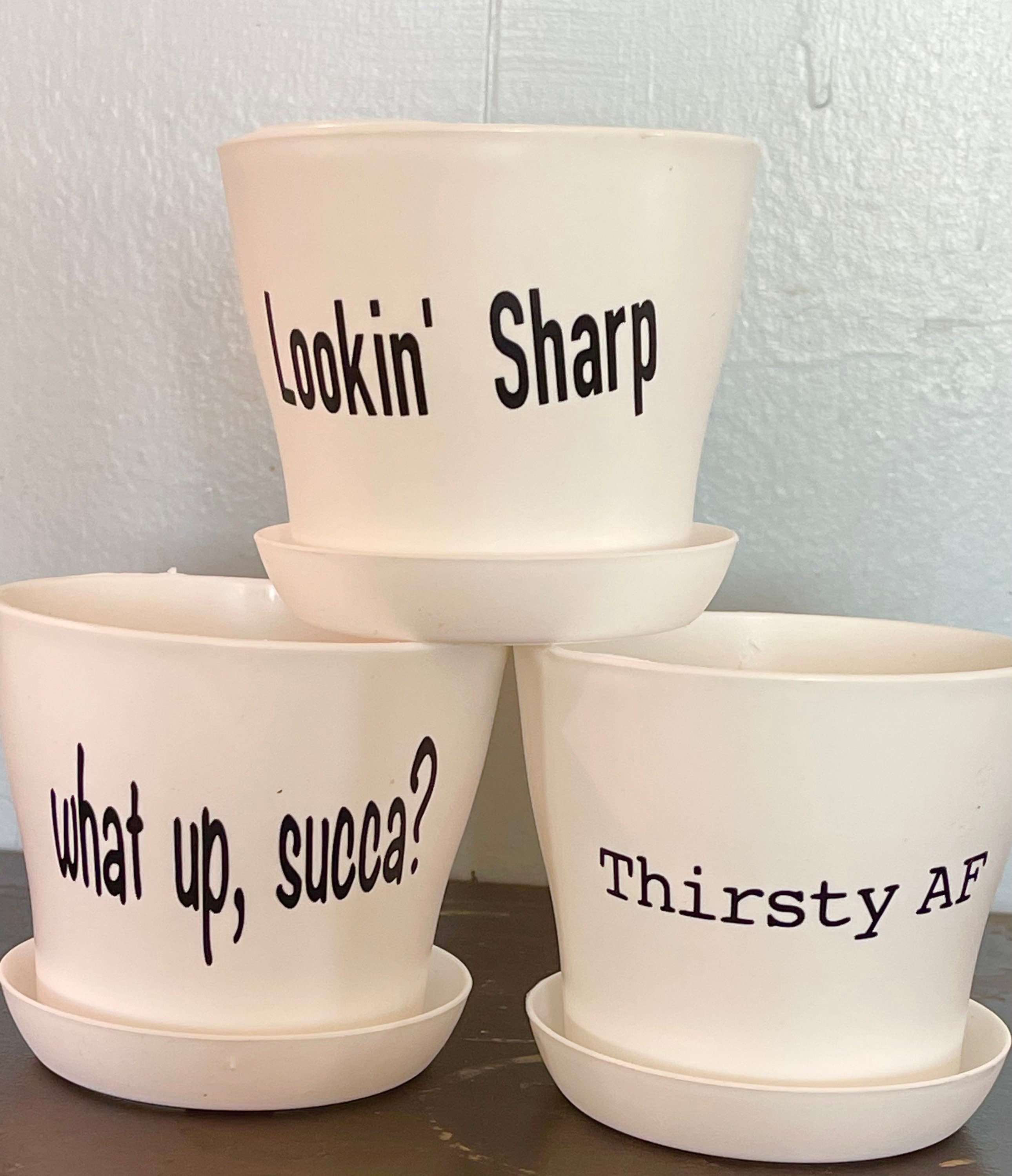 4 Inch Funny Plant Pots With Drainage and Saucer - Etsy