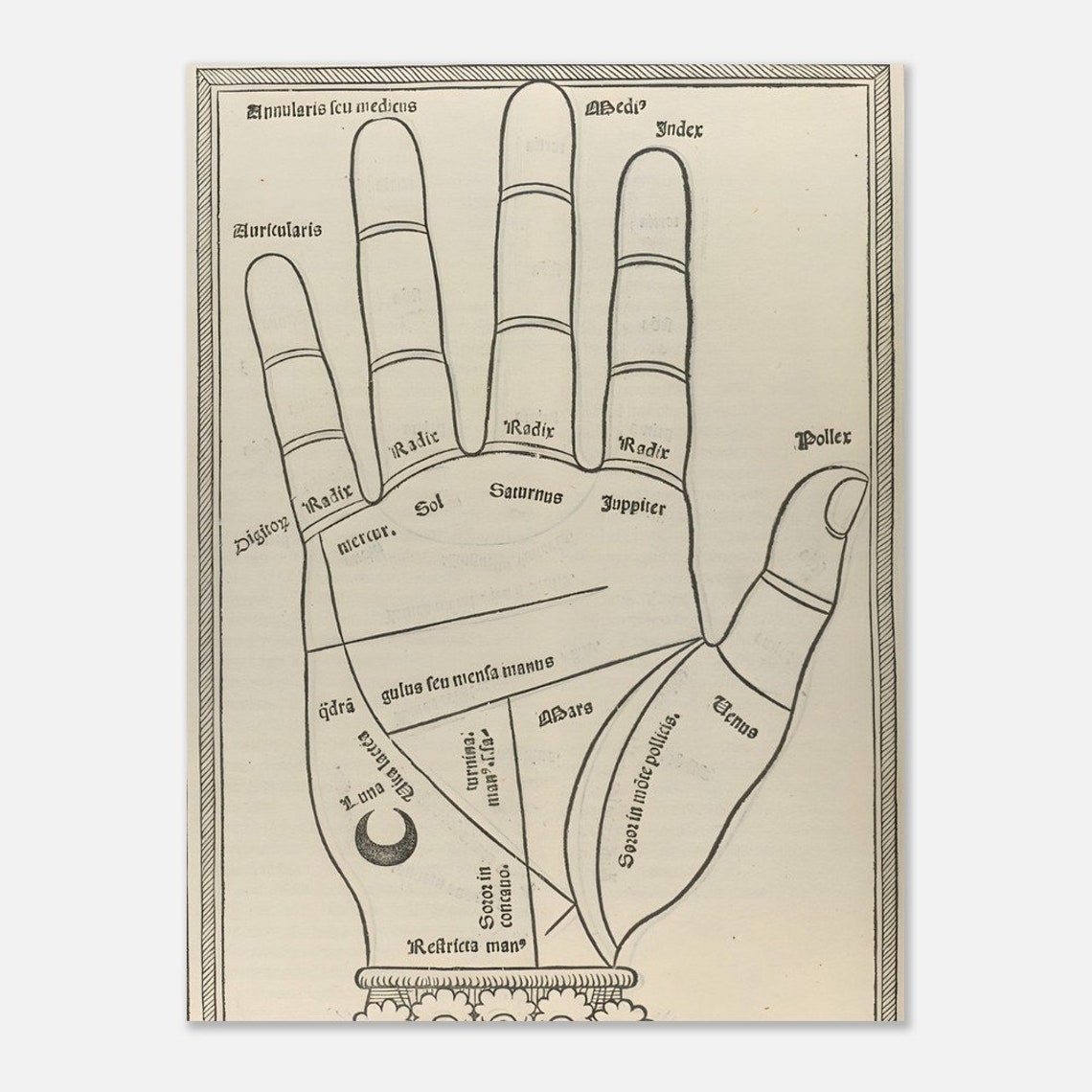 Palmistry Art Print, Palm Reading Print, Fortune Teller Print, Goth ...