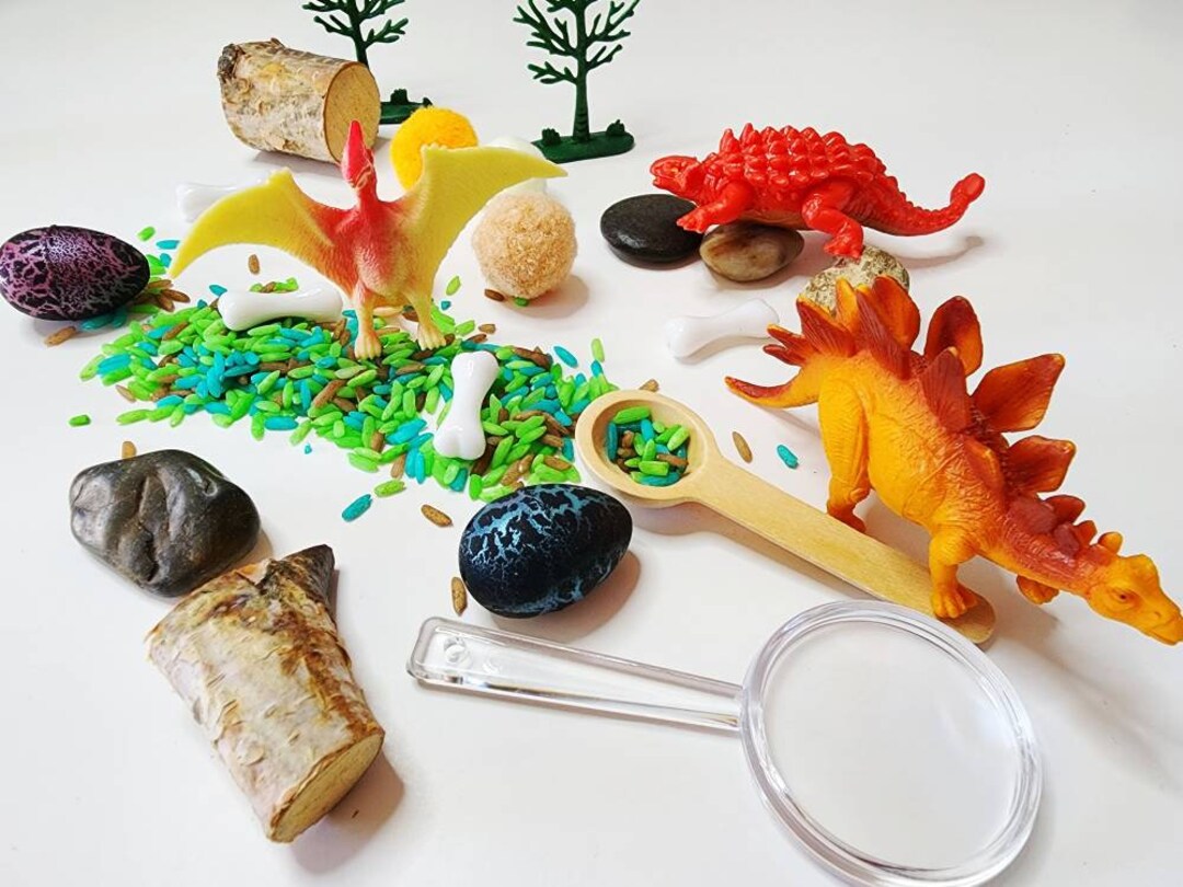 Sensory Kit Dinosaur- Preloved Toys and New Sensory - Etsy