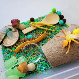 Bug Hunt Sensory Bin Set Small, Insects Sensory Kit , Sensoryplay ...