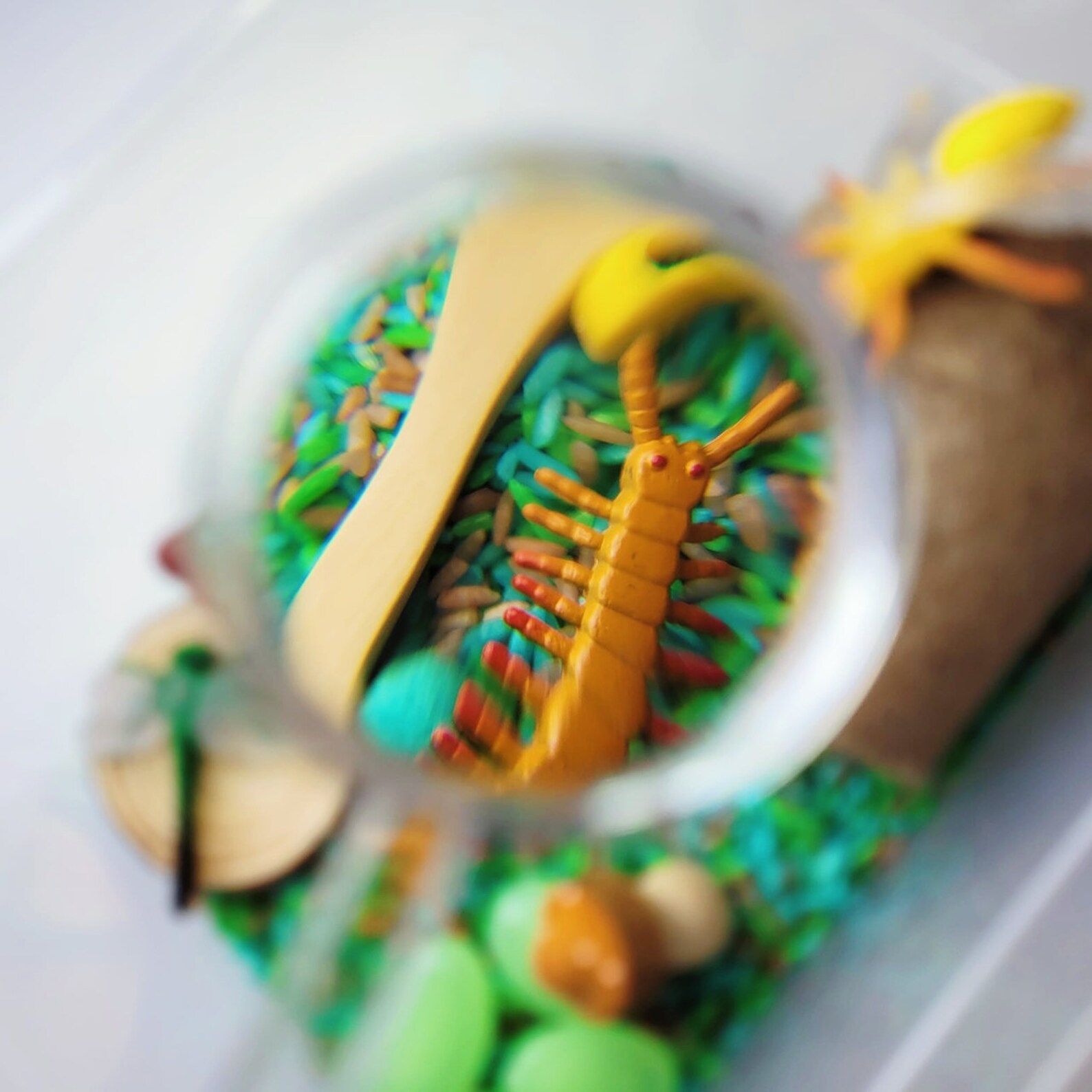 Bug Hunt Sensory Bin Set Small, Insects Sensory Kit , Sensoryplay ...