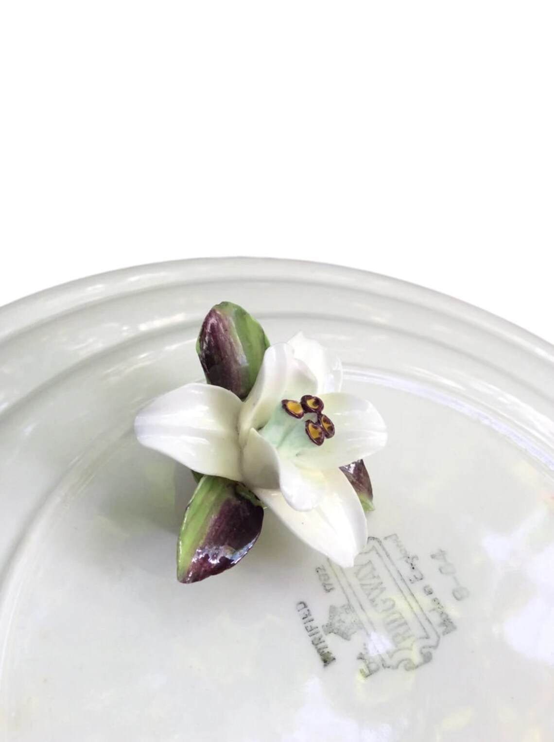 Vintage CARA 3D Brooch Bone China Staffordshire England Apple Cherry ...