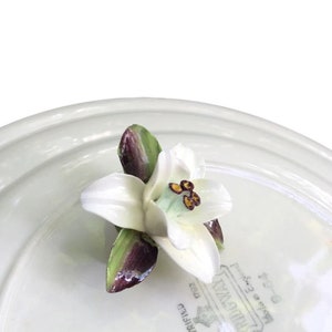 Vintage CARA 3D Brooch Bone China Staffordshire England Apple Cherry ...