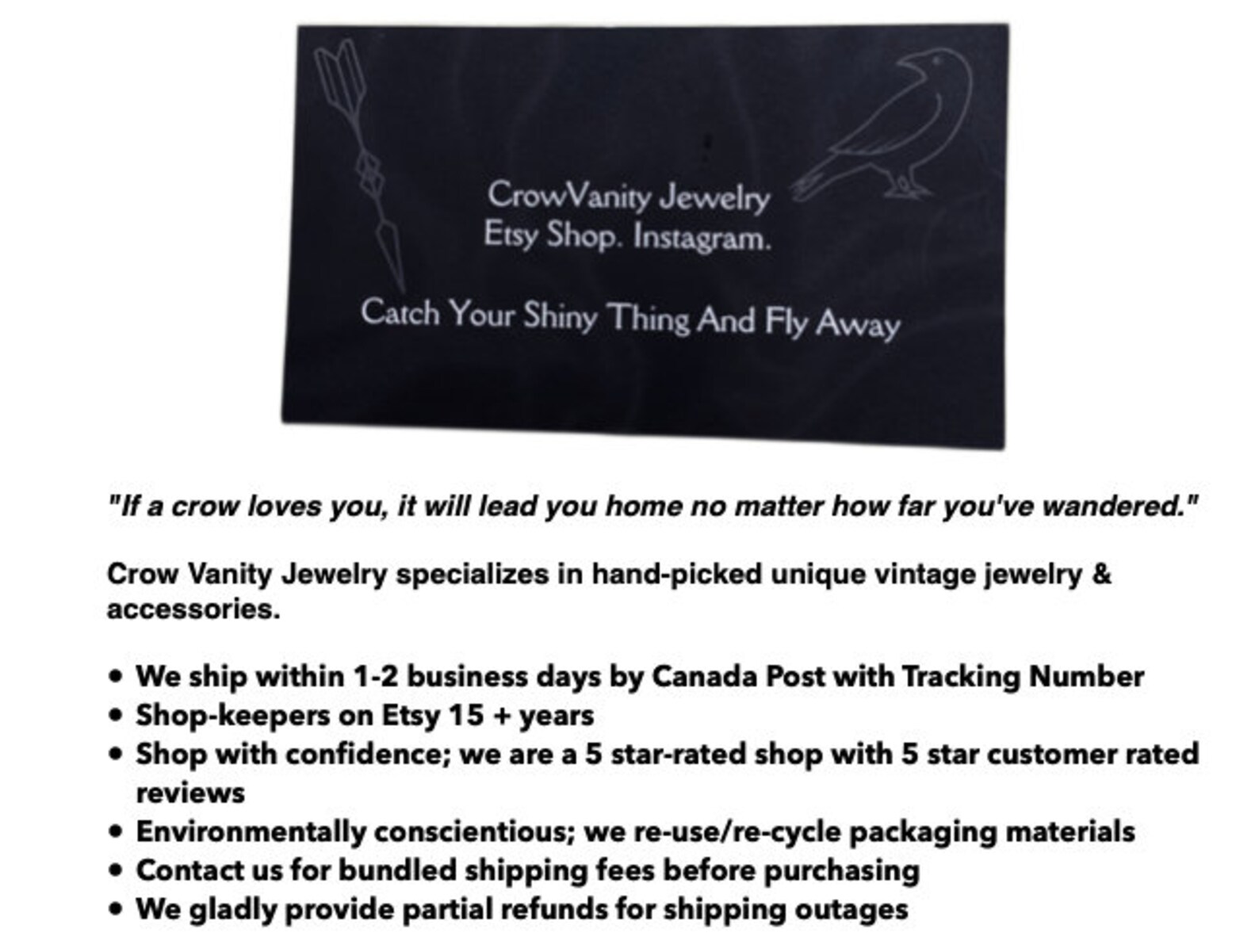 Vintage CARA 3D Brooch Bone China Staffordshire England Apple Cherry ...