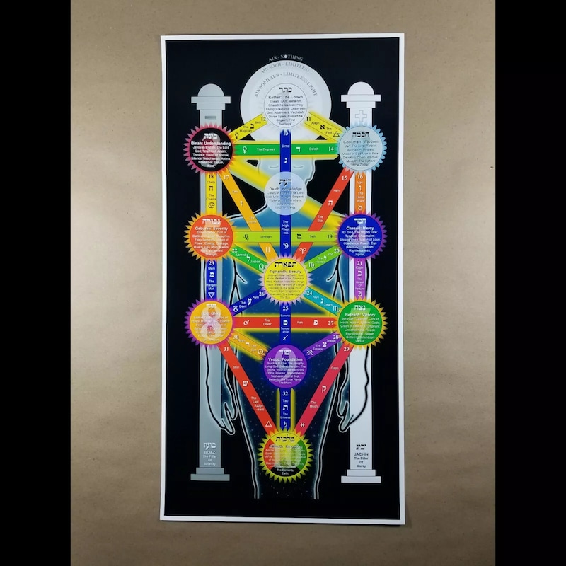 Tree of Life Poster - Etsy