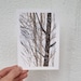 Realistic Birch Tree Painting, Winter Birch Tree Watercolor Artwork ...