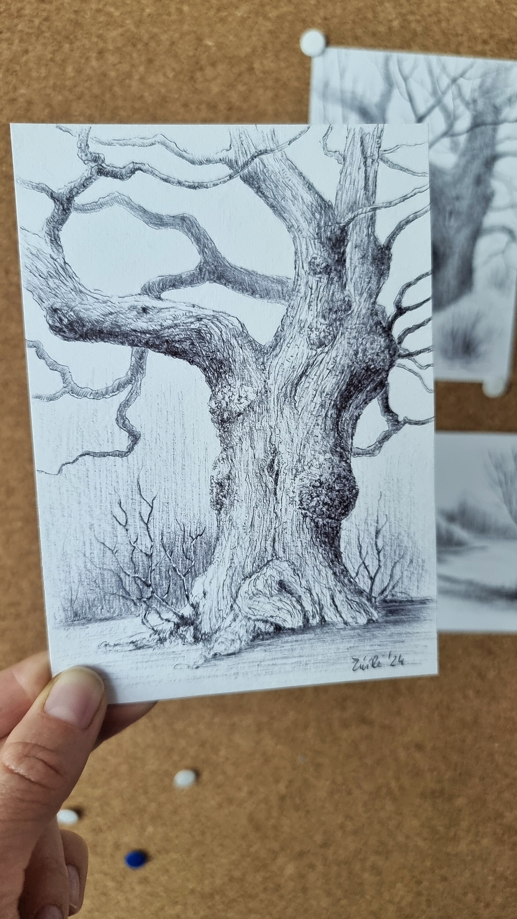 Oak Tree Still Life Painting on Paper Tree of Life Original Ink Drawing ...