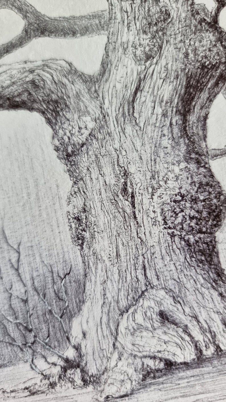 Oak Tree Still Life Painting on Paper Tree of Life Original Ink Drawing ...
