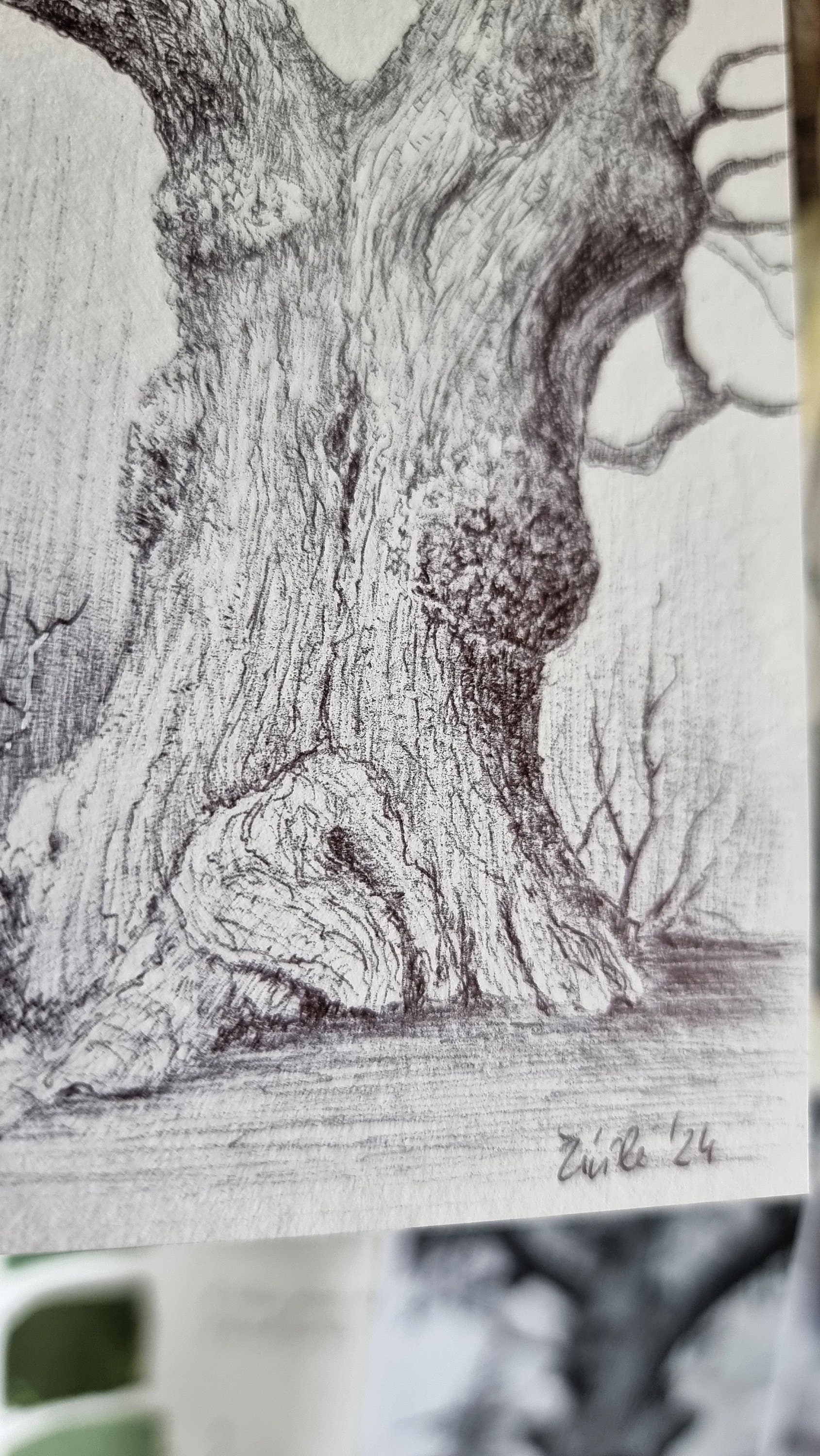 Oak Tree Still Life Painting on Paper Tree of Life Original Ink Drawing ...