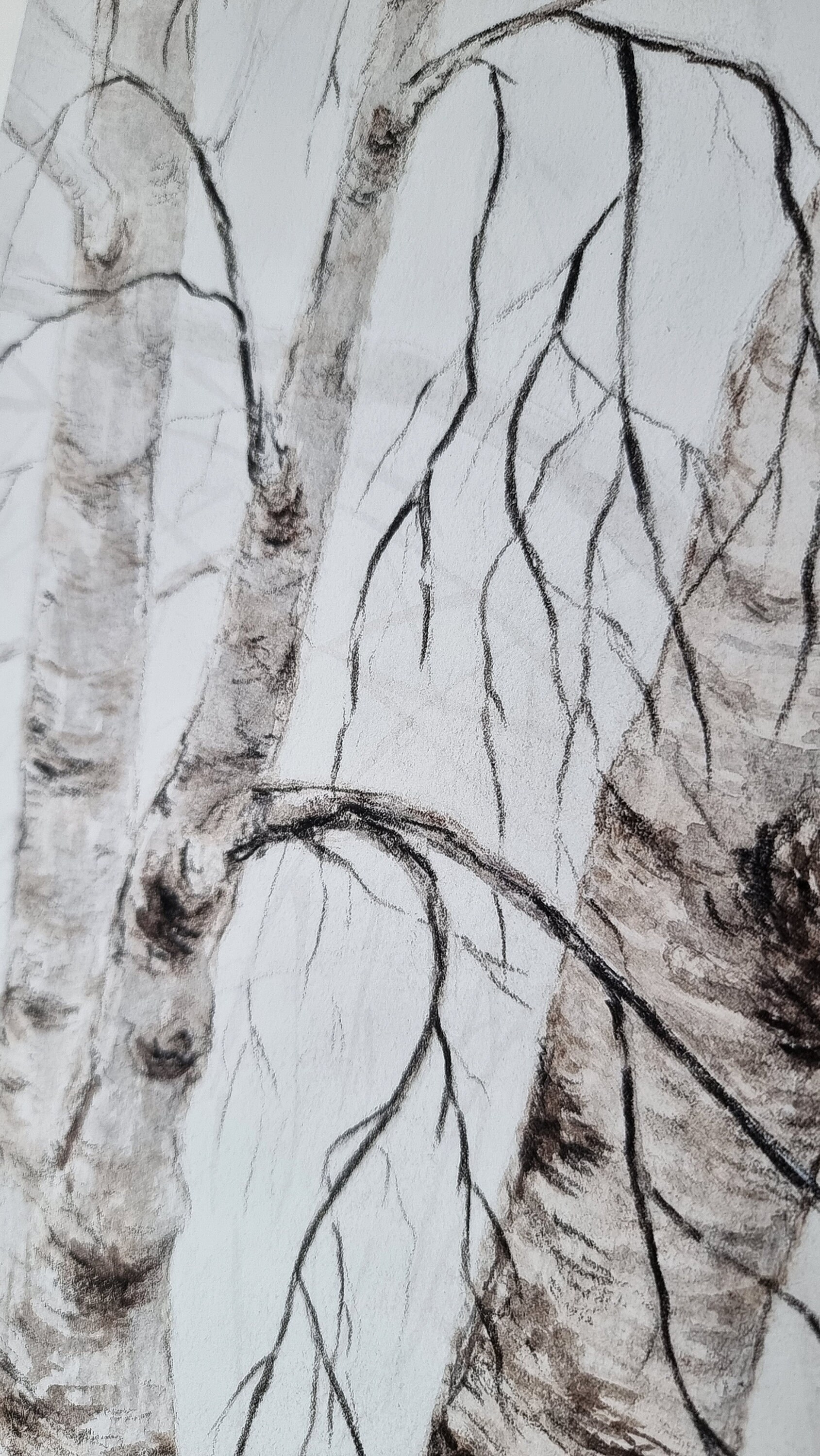 Realistic Birch Tree Painting, Winter Birch Tree Watercolor Artwork ...