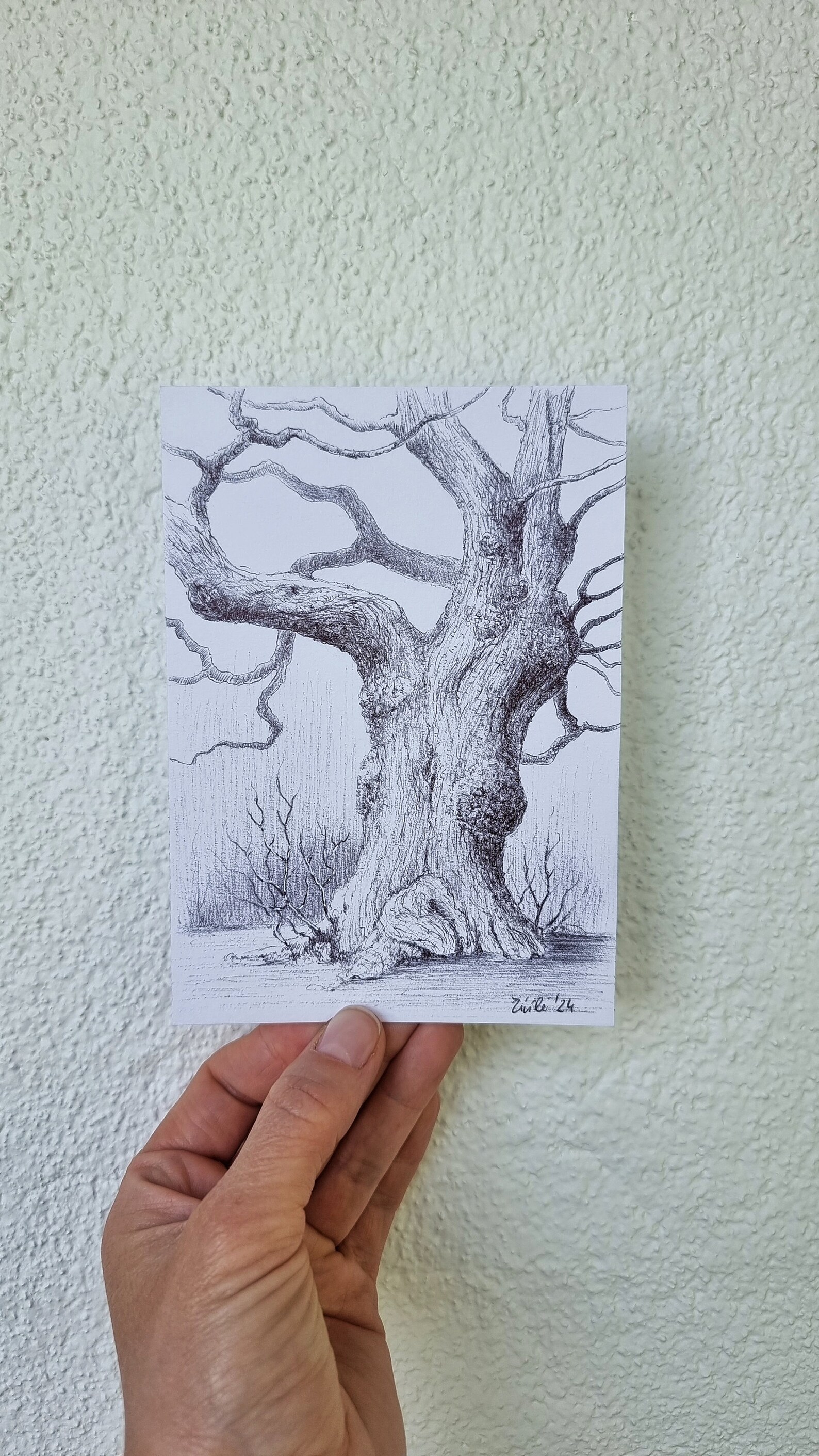 Oak Tree Still Life Painting on Paper Tree of Life Original Ink Drawing ...