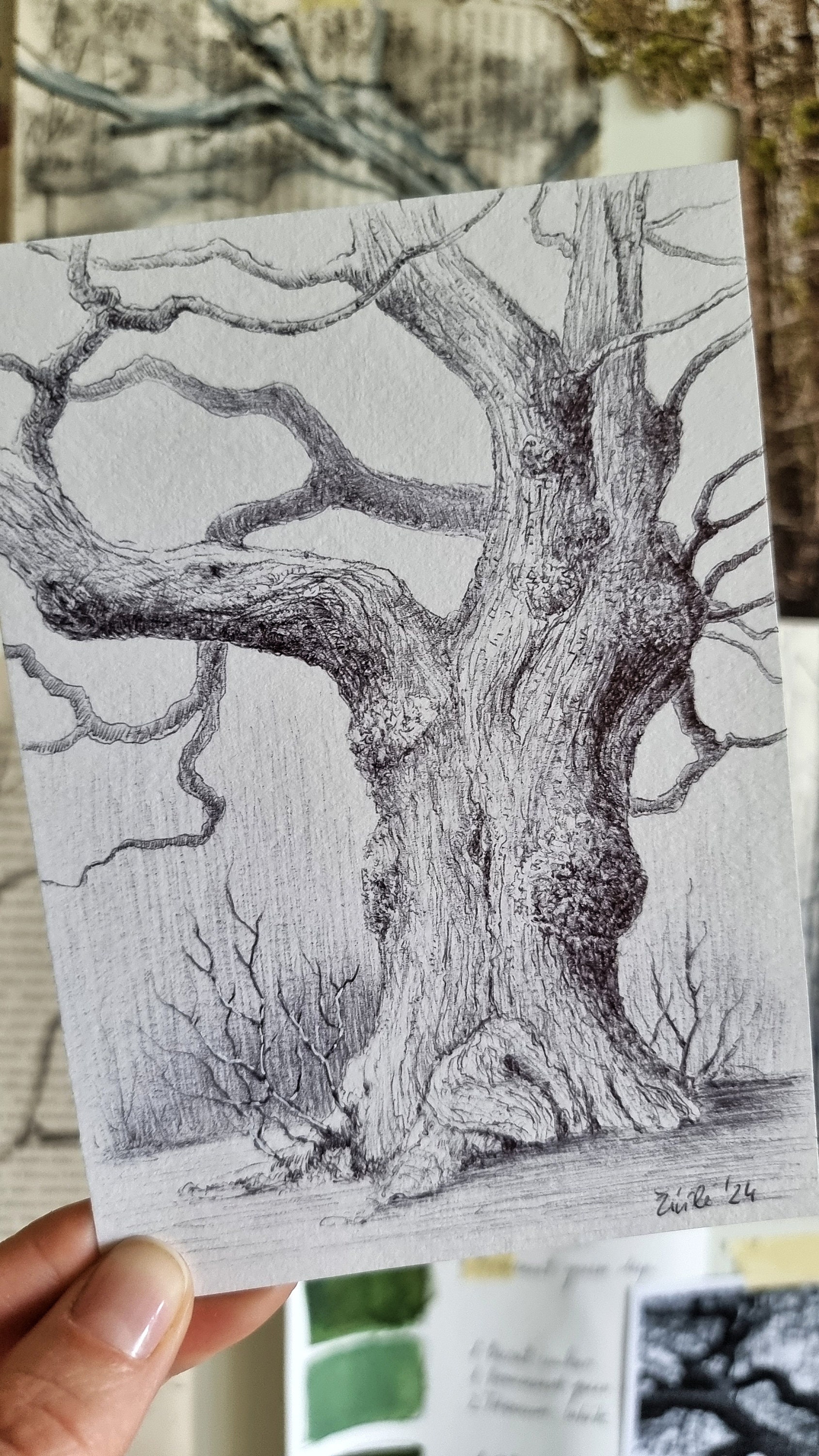 Oak Tree Still Life Painting on Paper Tree of Life Original Ink Drawing ...